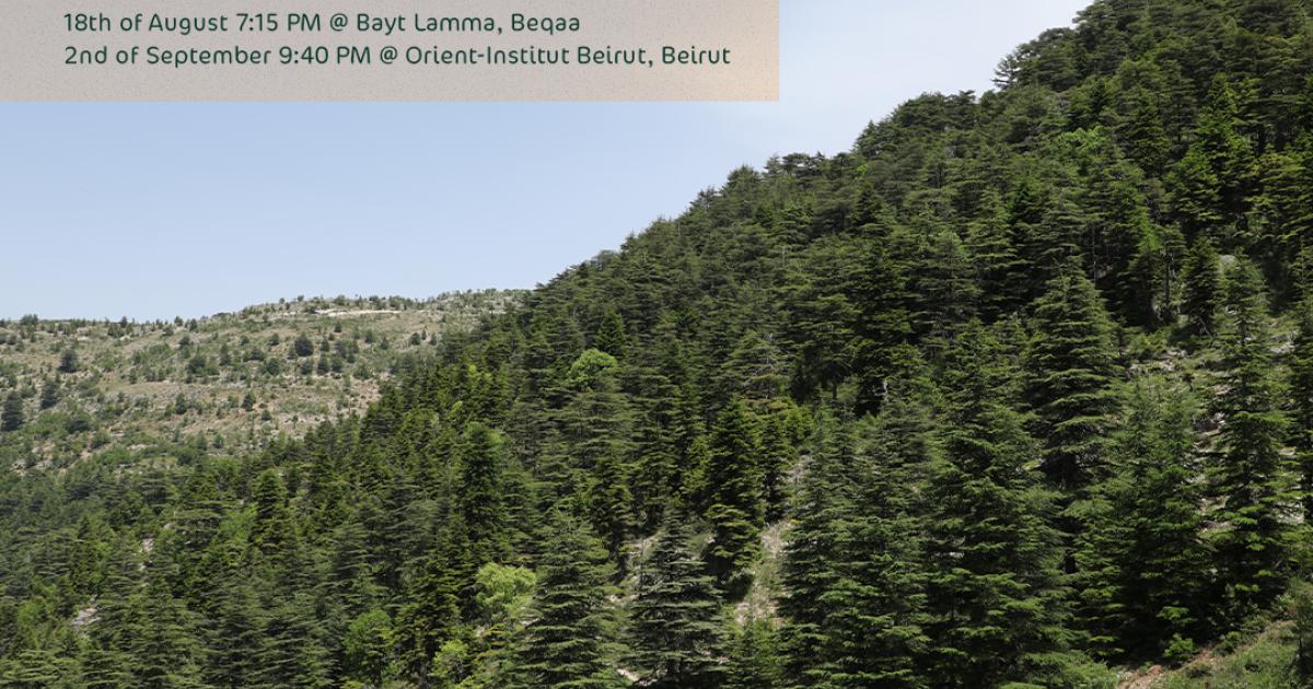 Lebanon’s Iconic Cedars | Heinrich-Böll-Stiftung | Lebanon - Beirut